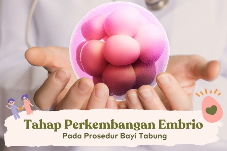 Transfer Embrio - Definisi, Prosedur, Waktu dan Risiko - Bocah Indonesia