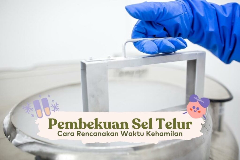 Bagaimana Proses Pengambilan Sel Telur untuk Bayi Tabung?