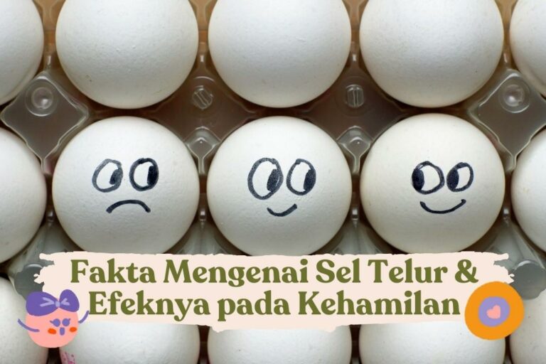 Cek Ukuran Sel Telur, Yakin Pasti Subur?