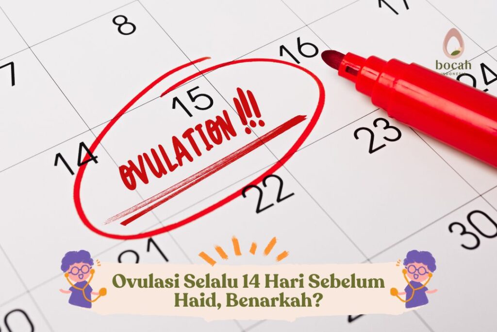 Ovulasi Selalu 14 Hari Sebelum Haid, Benarkah?