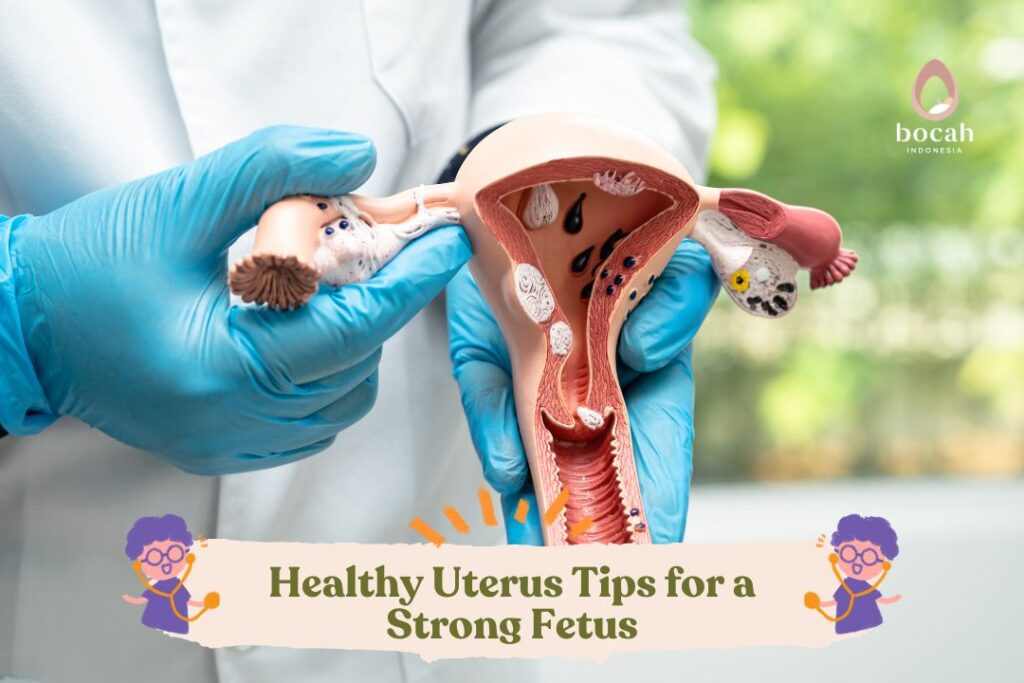 Tips for a Healthy and Fertile Uterus for a Strong Fetus