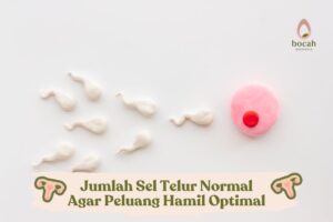 Jumlah Sel Telur Normal Agar Peluang Hamil Optimal