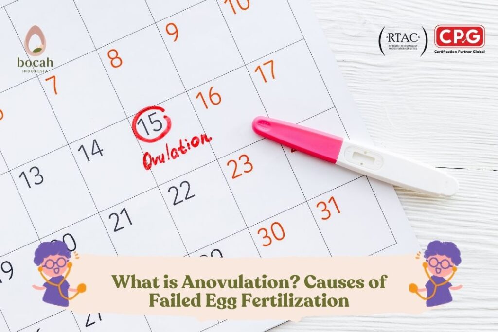What is Anovulation? Causes of Failed Egg Fertilization