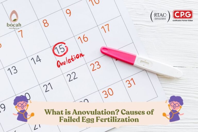 What is Anovulation? Causes of Failed Egg Fertilization