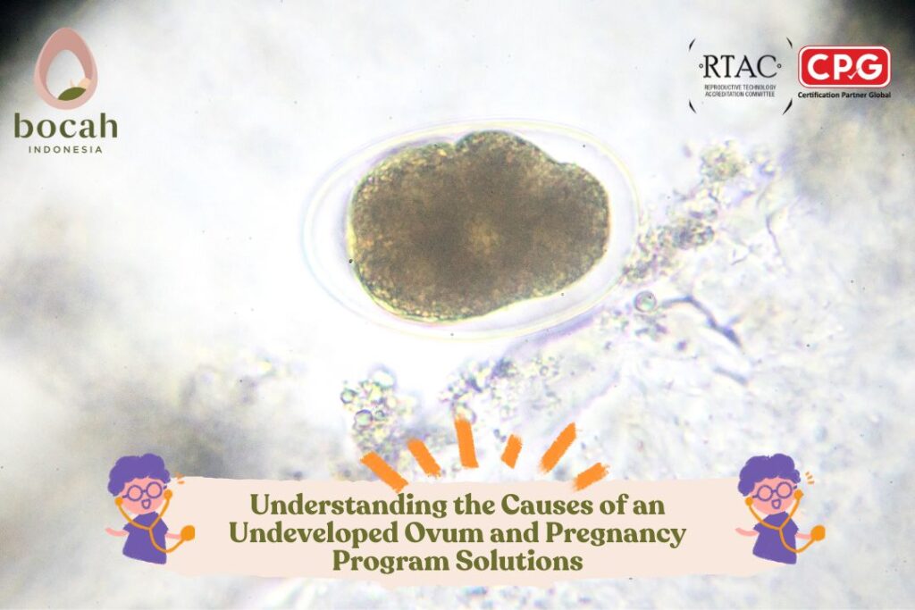 Understanding the Causes of an Undeveloped Ovum and Pregnancy Program ...
