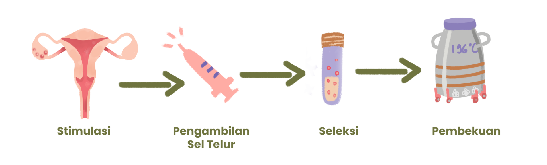 Pembekuan Sel Telur: Pengertian, Proses, dan Keamanannya